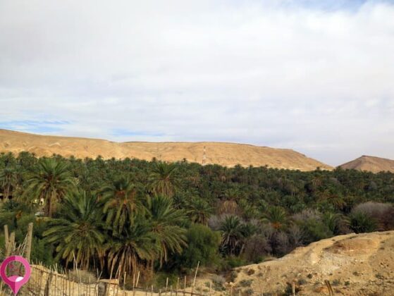 Tamerza, también conocido como Tamagzha o Tameghza es el mayor oasis de ...