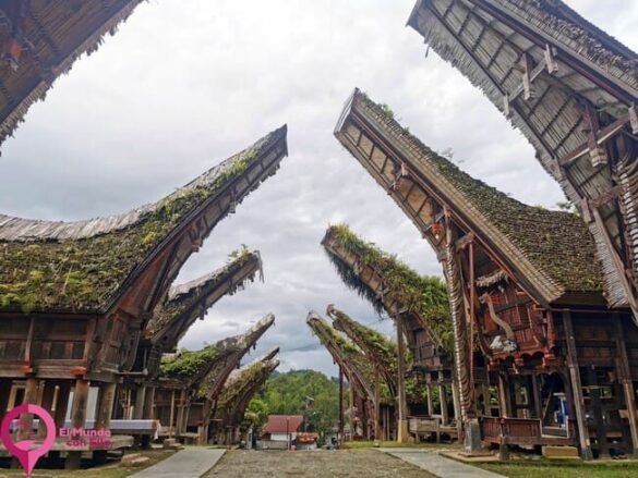 Tana Toraja: Guía Completa para explorar la tierra de los funerales más ...
